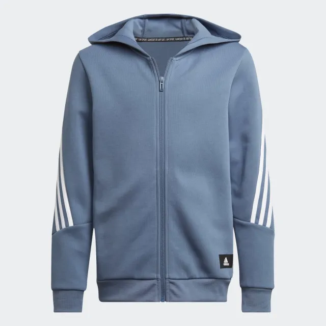 adidas Future Icons 3-Stripes Full-Zip Hoodie | HN6174 | FOOTY.COM