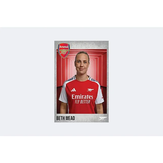 Arsenal 2024/25 Mead Headshot, Multicolor | 06855 | FOOTY.COM