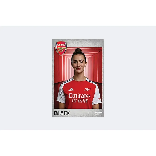 Arsenal 2024/25 Fox Headshot, Multicolor | 06841 | FOOTY.COM