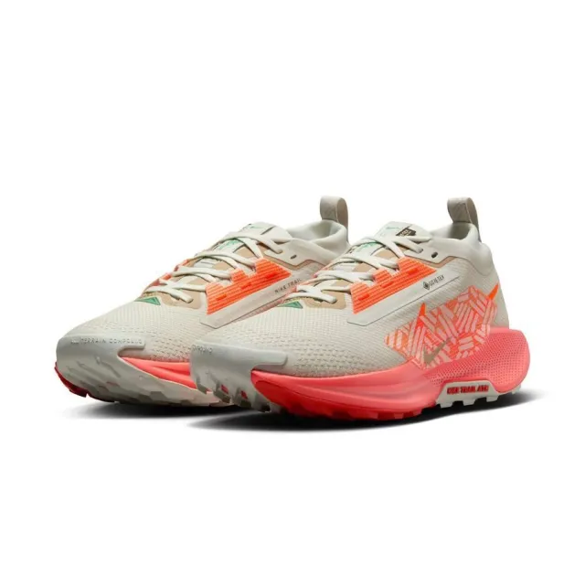 Nike Running Shoe Pegasus Trail 5 Gore-Tex - ['Silver'] | FQ0912-004 ...