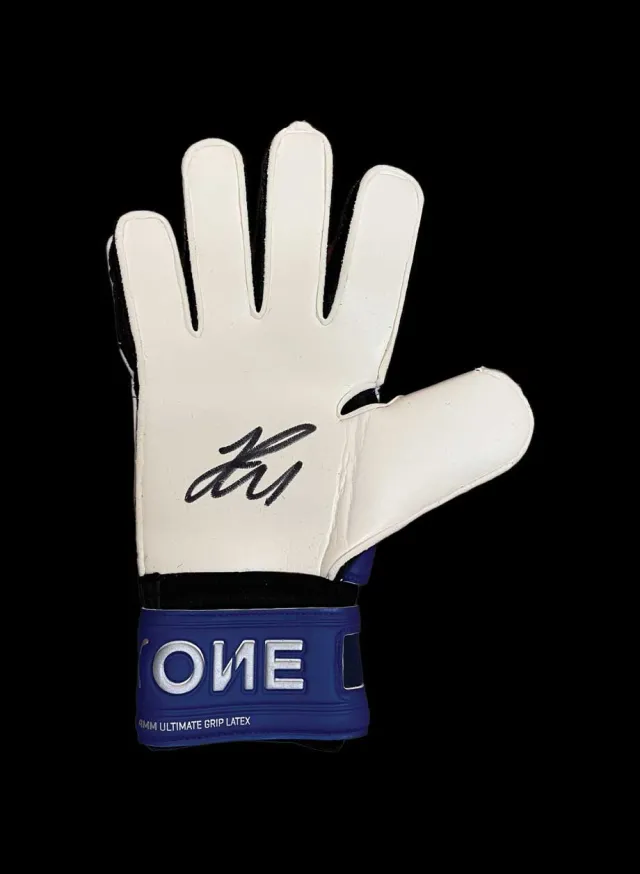 Puma Ederson Signed Goalkeeper Glove | Football Memorabilia | 8751 ...